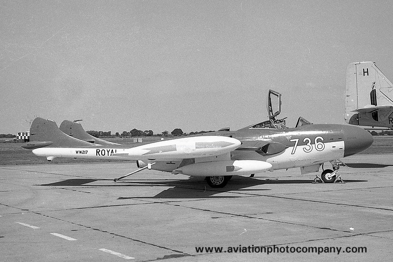 The Aviation Photo Company | Venom/Sea Venom (De Havilland)